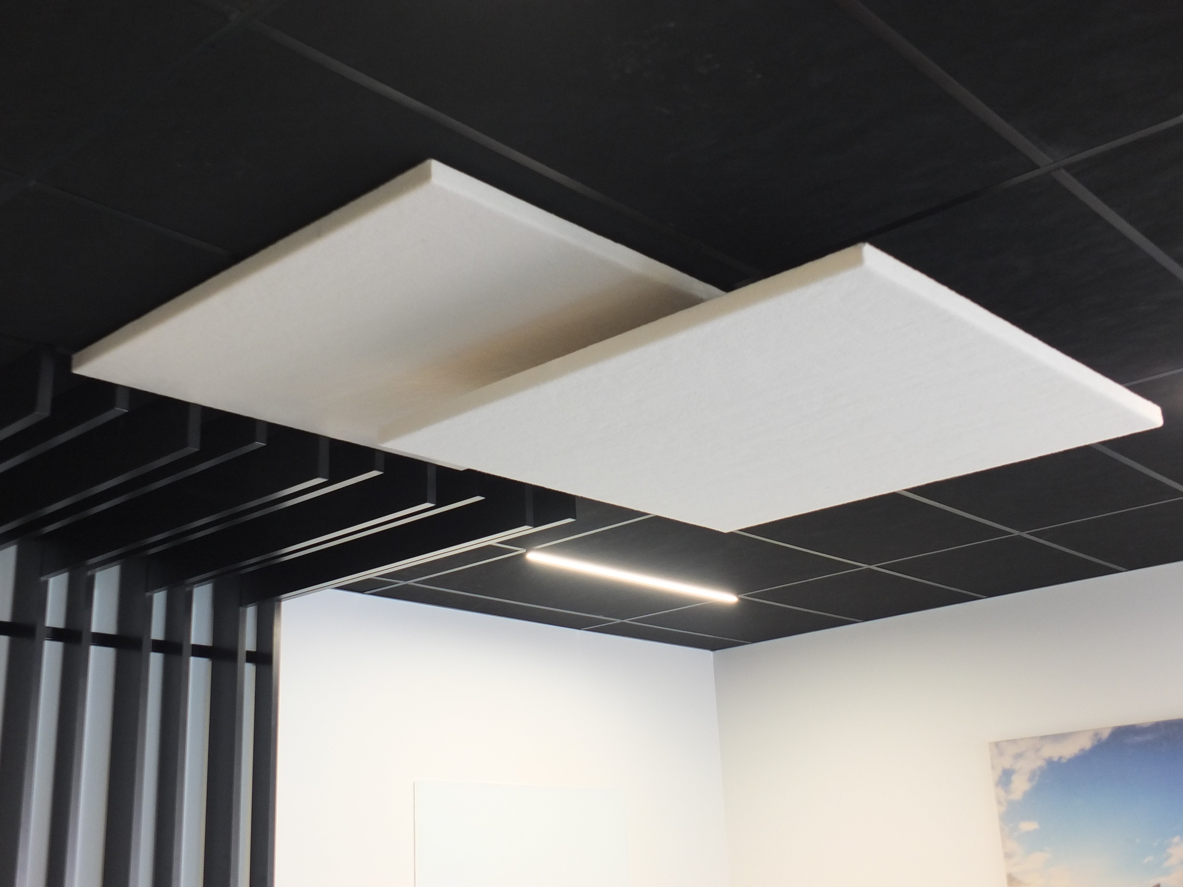 T&R Interior Systems - Floc Cloud